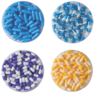 Fish Capsule – Capromax – Humidity Chamber for Stability Test and ...